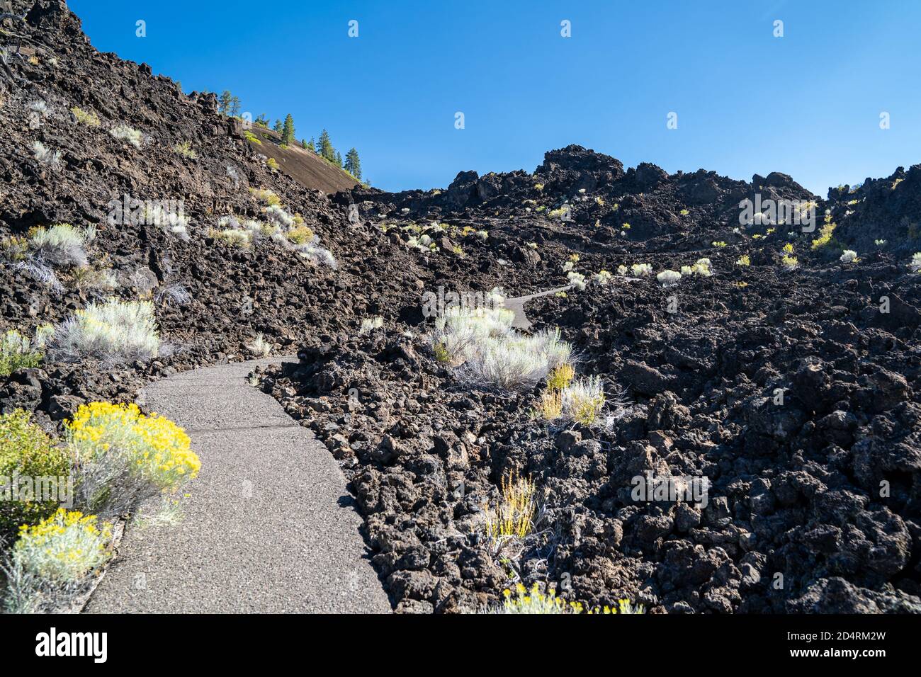 Central oregon lava field cascade hi-res stock photography and images ...