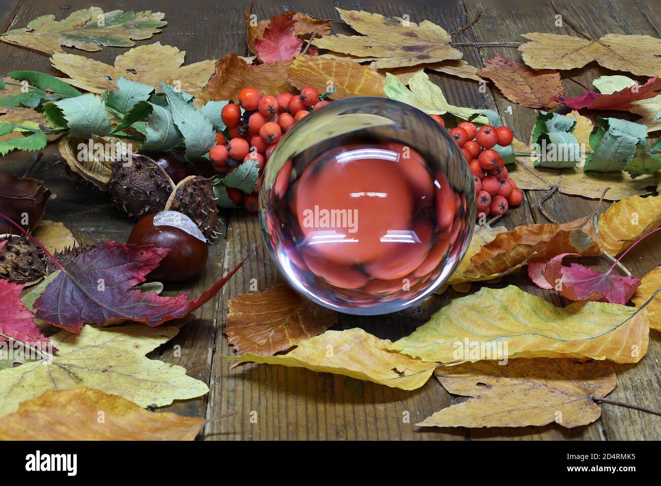 Autumn still life with glass ball, leaves and berries Stock Photo - Alamy