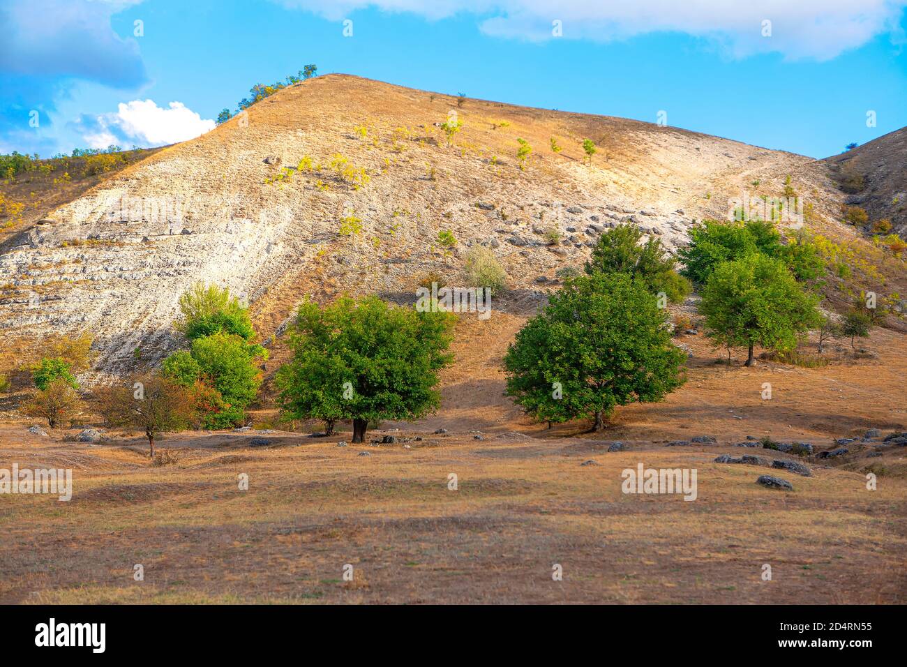 Lawn downhill hi-res stock photography and images - Alamy