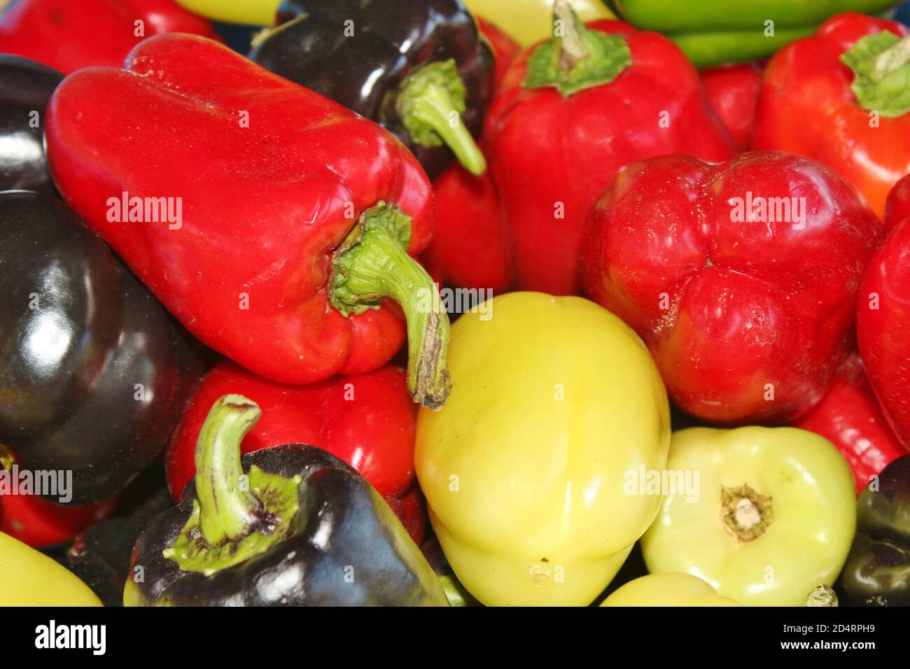 Baskets of all varieties of peppers Stock Photo - Alamy