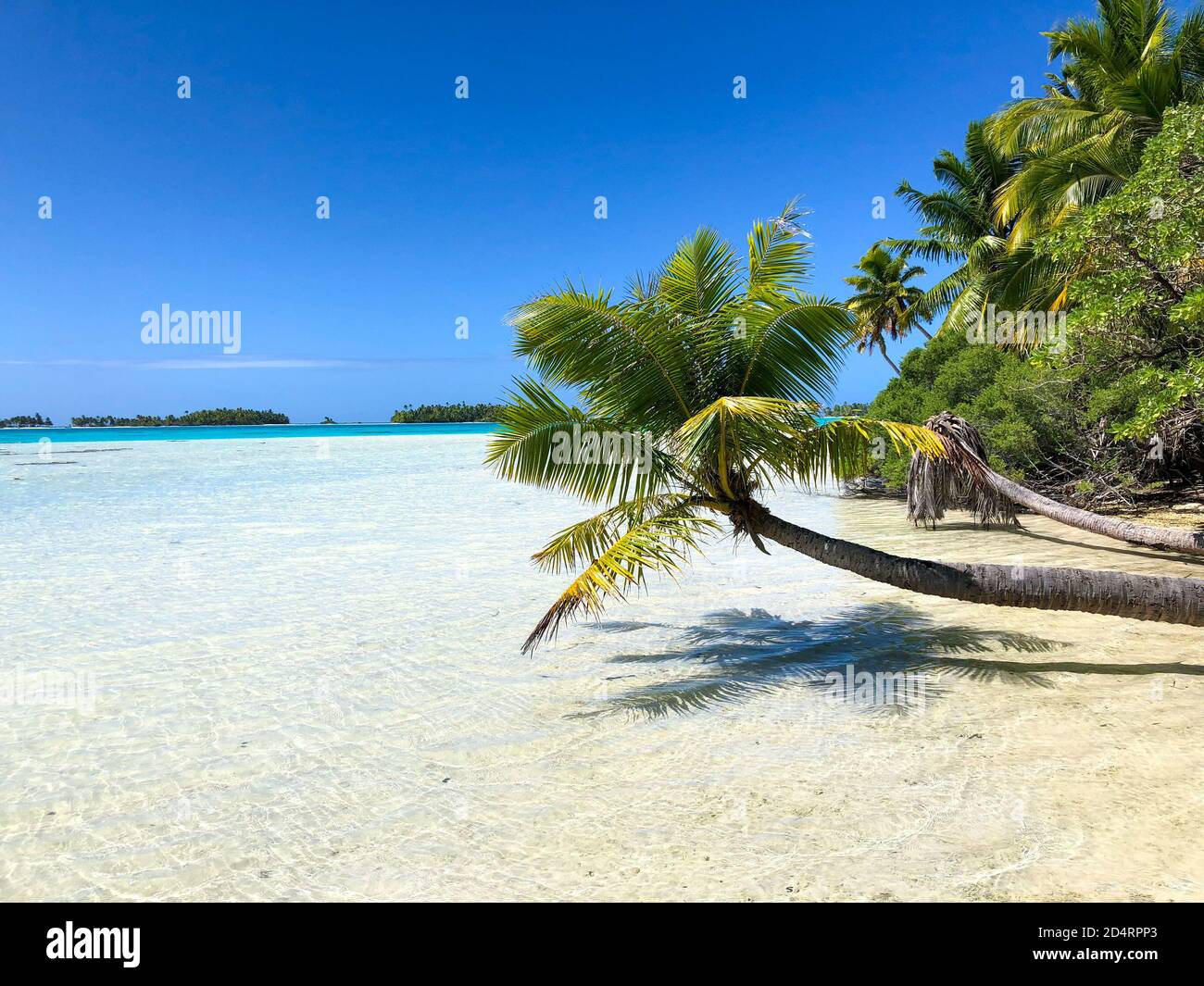 Lost island hotel resort hi-res stock photography and images - Alamy