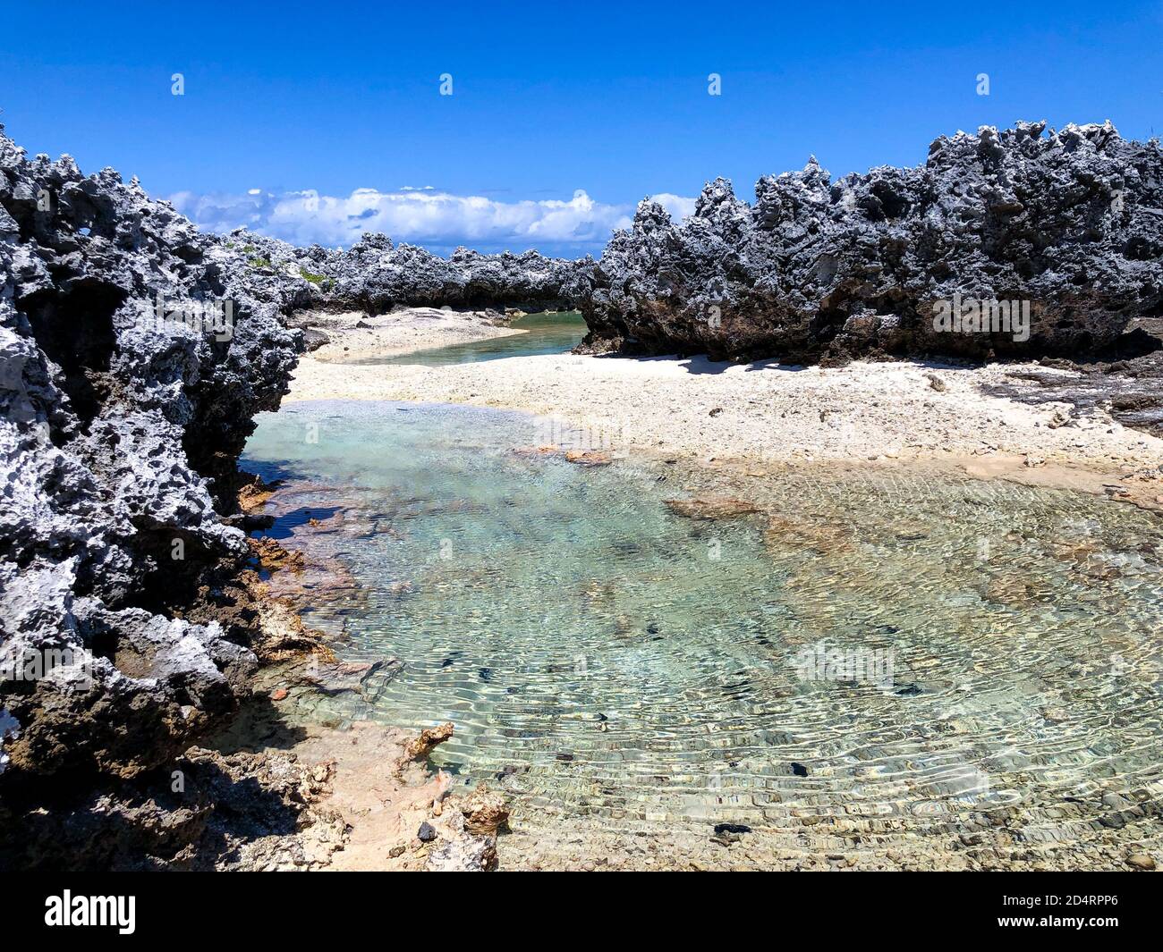 Reef in Rangiroa island Stock Photo - Alamy