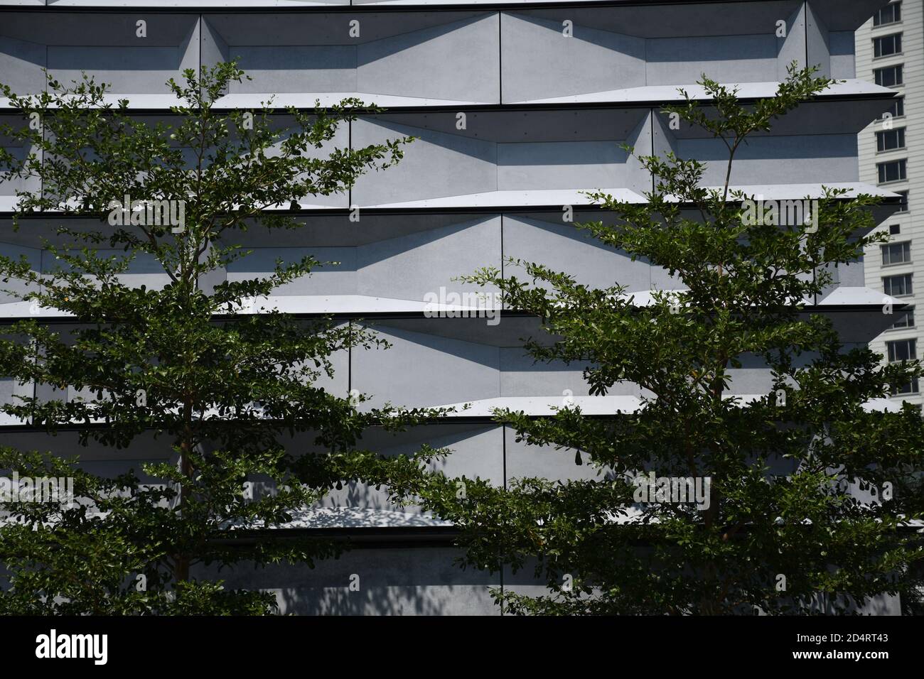 Geometric pattern of the Hong Kong Museum of Art facade with trees on ...