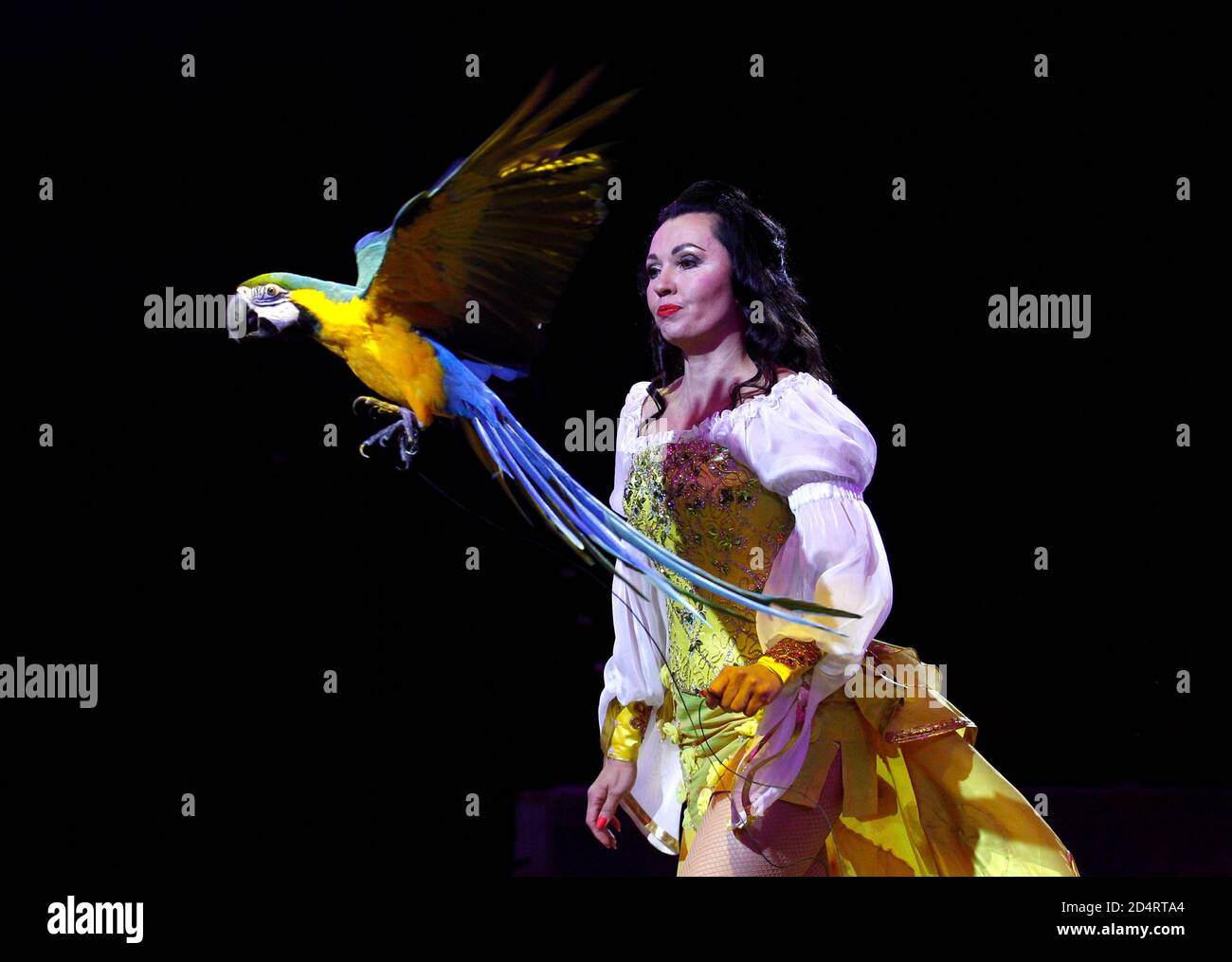 Kiev, Ukraine. 10th Oct, 2020. A parrot and its tamer perform during ...