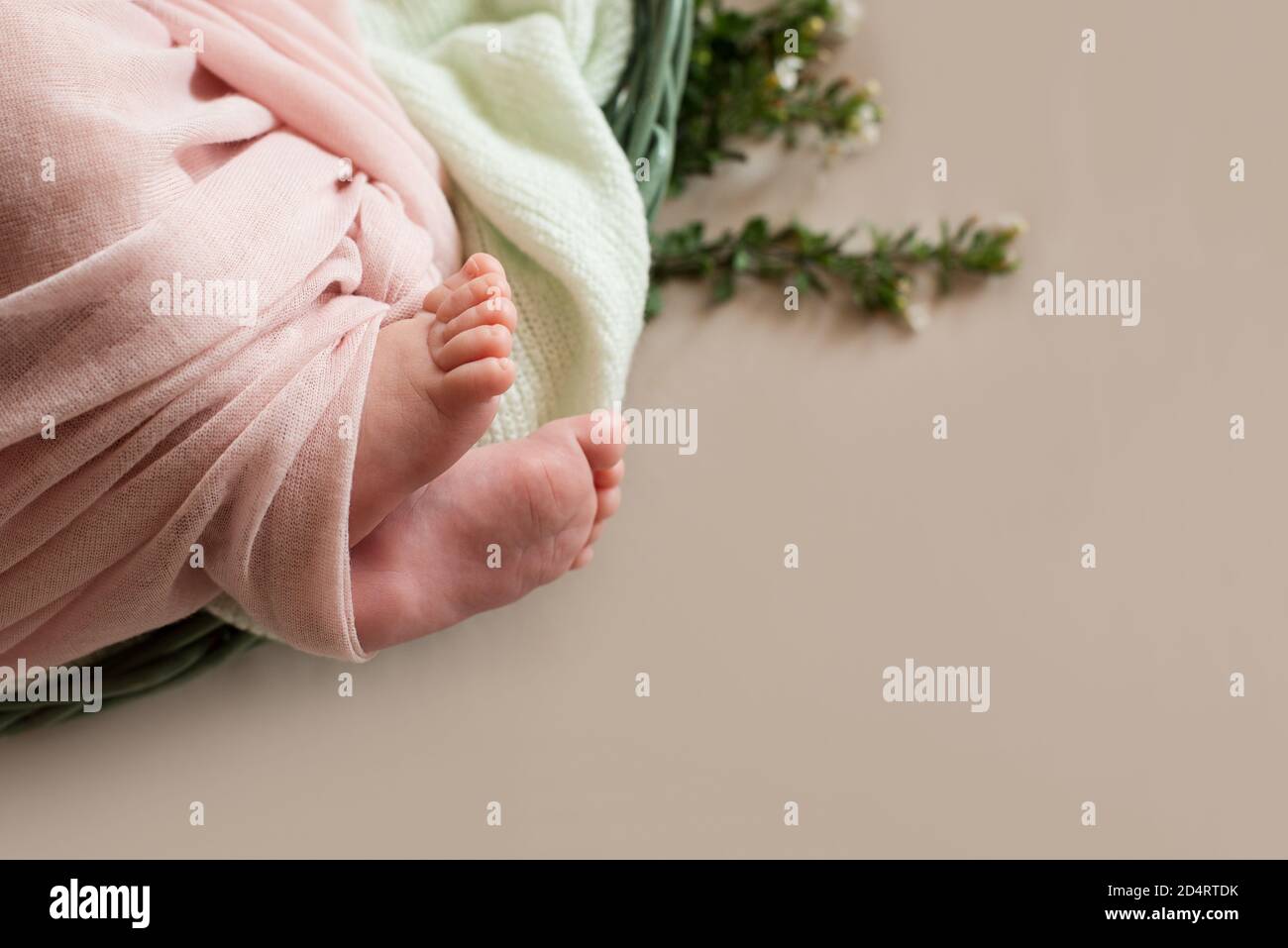 feet of the newborn baby with flower, fingers on the foot, maternal ...