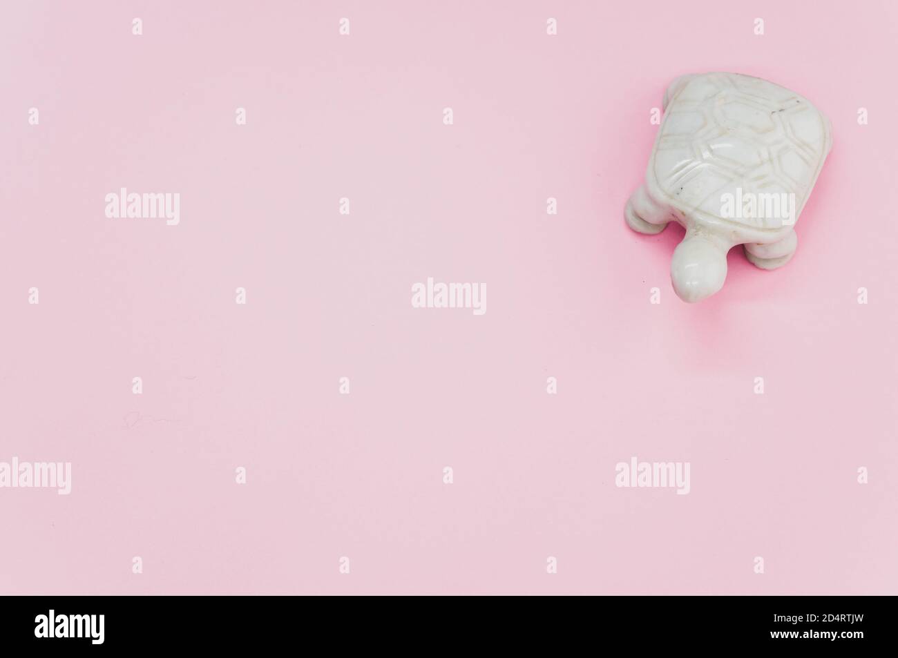 Top view of white turtle stone figurines isolated on a pink background ...