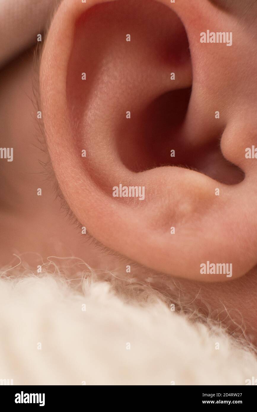 ear and hair of the newborn baby, macro, close up, maternal care, love ...
