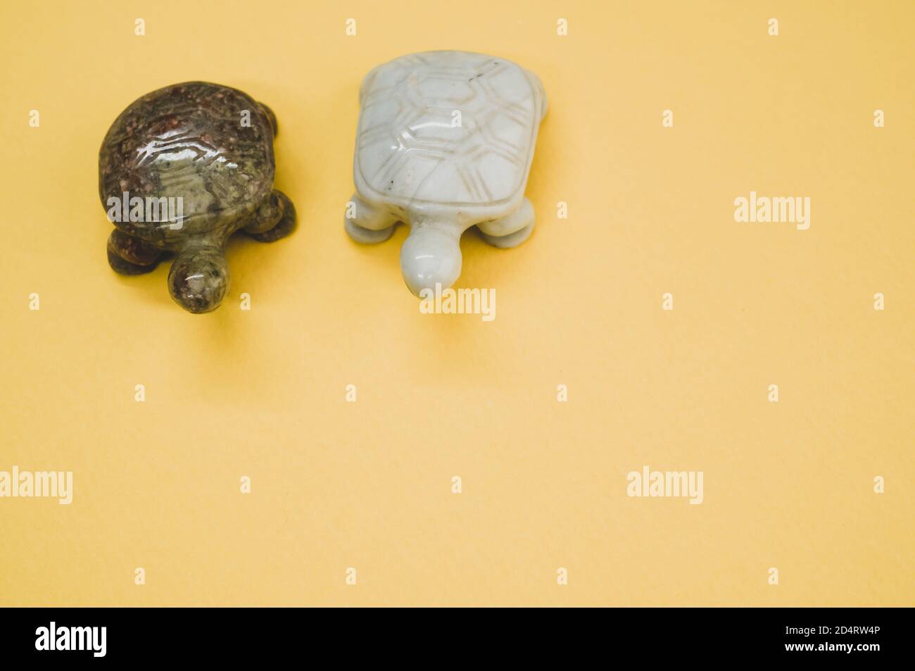Top view of brown and white turtle stone figurines isolated on a yellow ...