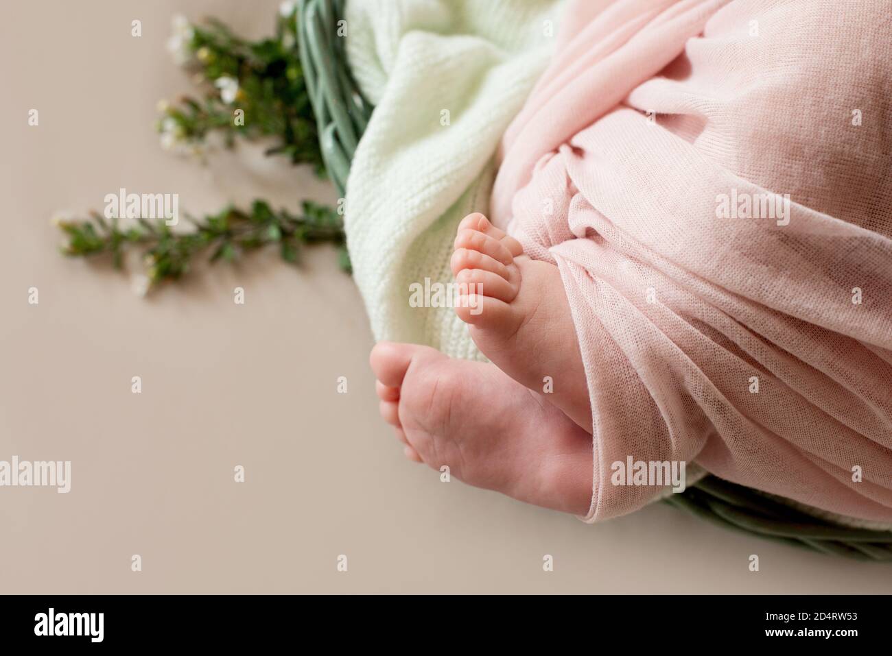 feet of the newborn baby with flower, fingers on the foot, maternal ...