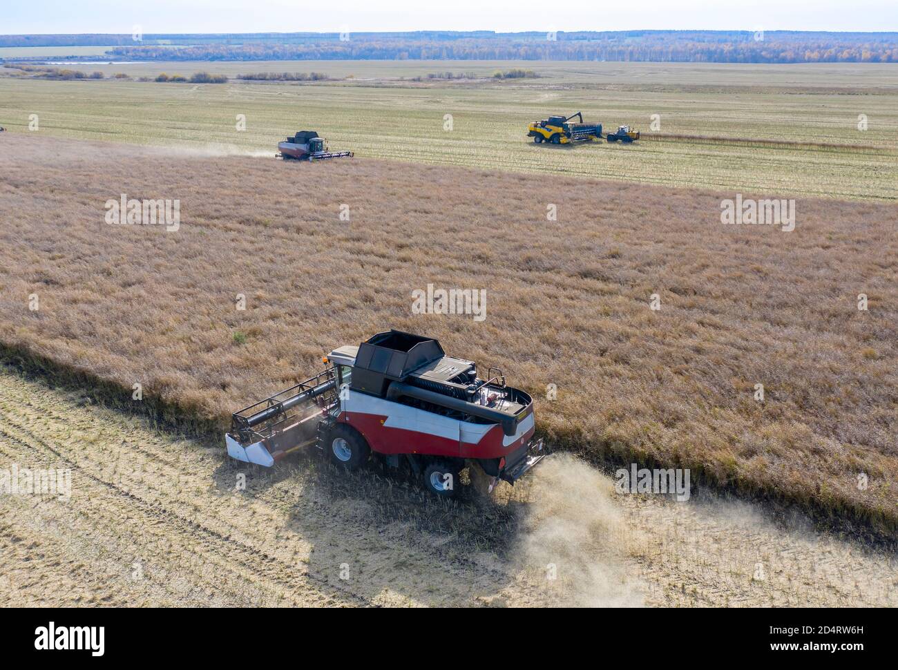 Combine harvesters gathering grain from fields in Siberia, Russia in ...