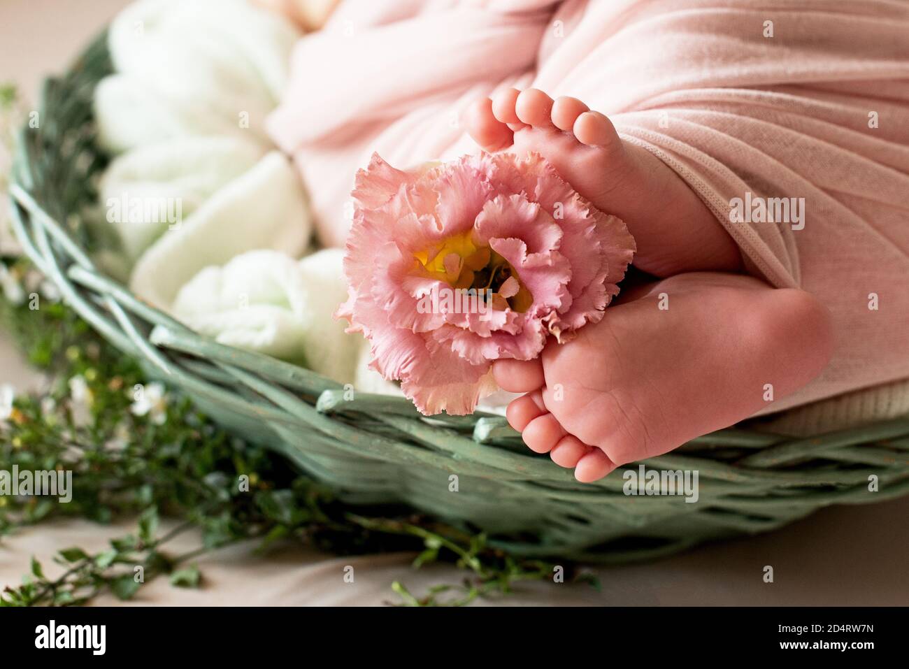 feet of the newborn baby with flower, fingers on the foot, maternal ...