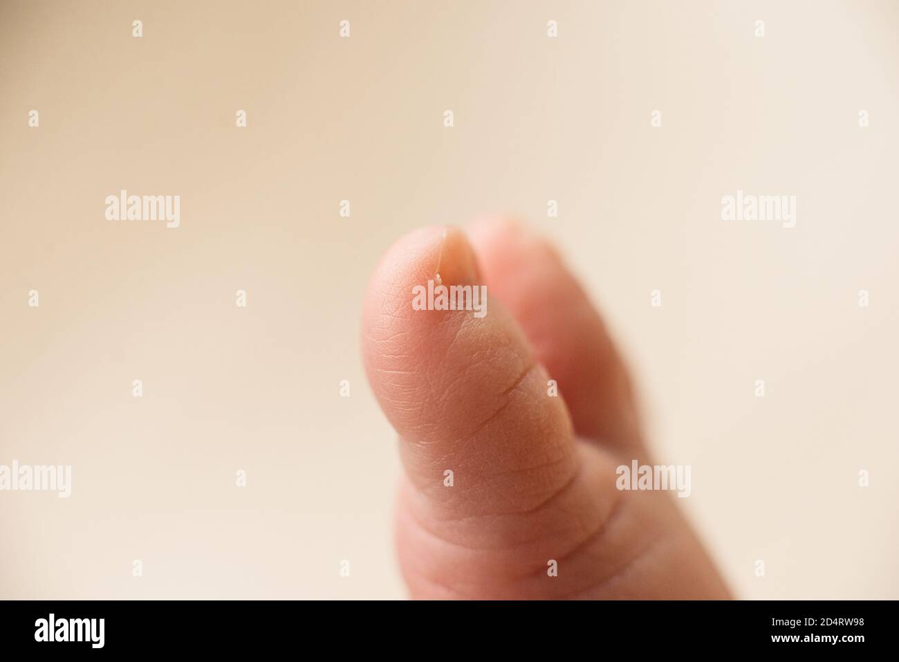 feet of the newborn baby with flower, fingers on the foot, maternal ...