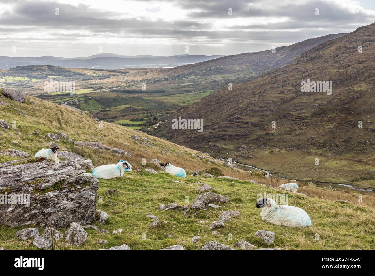 Bantry county cork ireland walkers hi-res stock photography and images ...