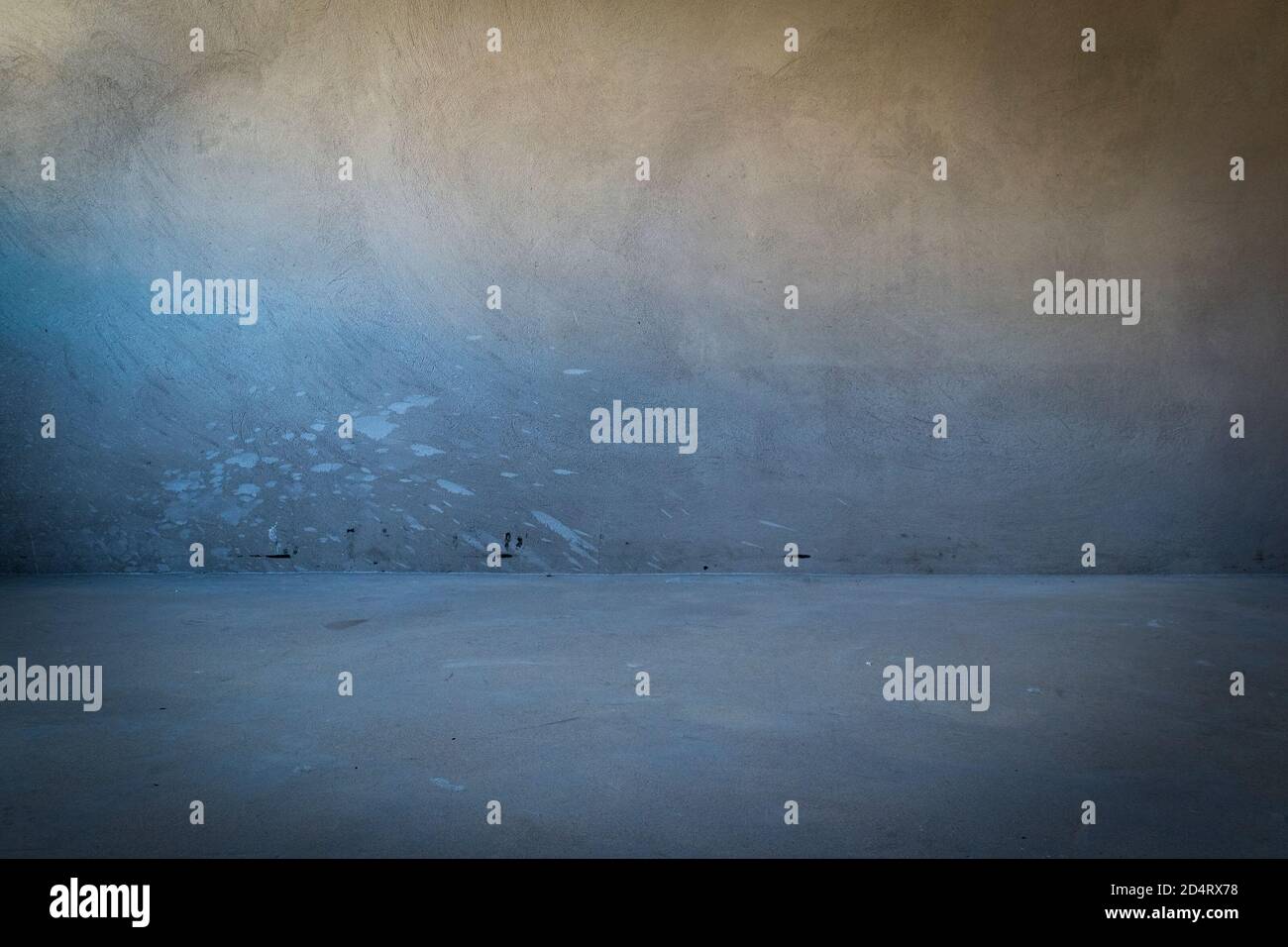 Room interior without decoration in gray colors Stock Photo - Alamy