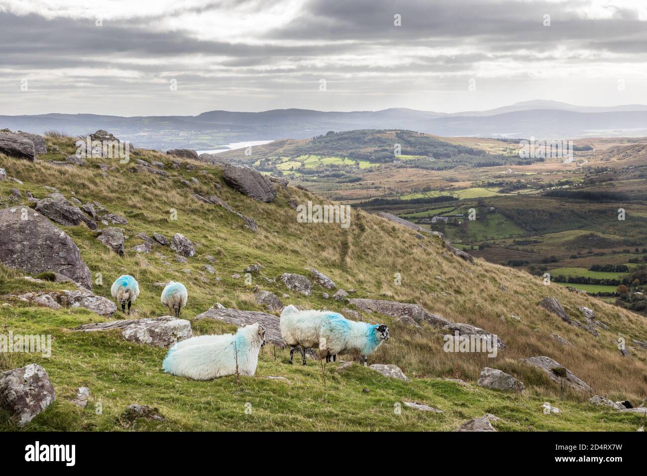 Leap in hi-res stock photography and images - Alamy