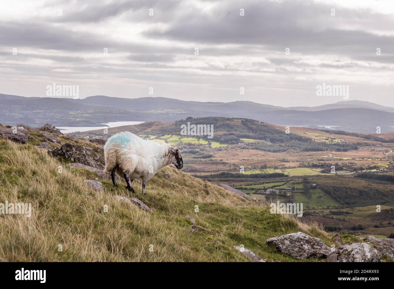20th october 2020 hi-res stock photography and images - Alamy