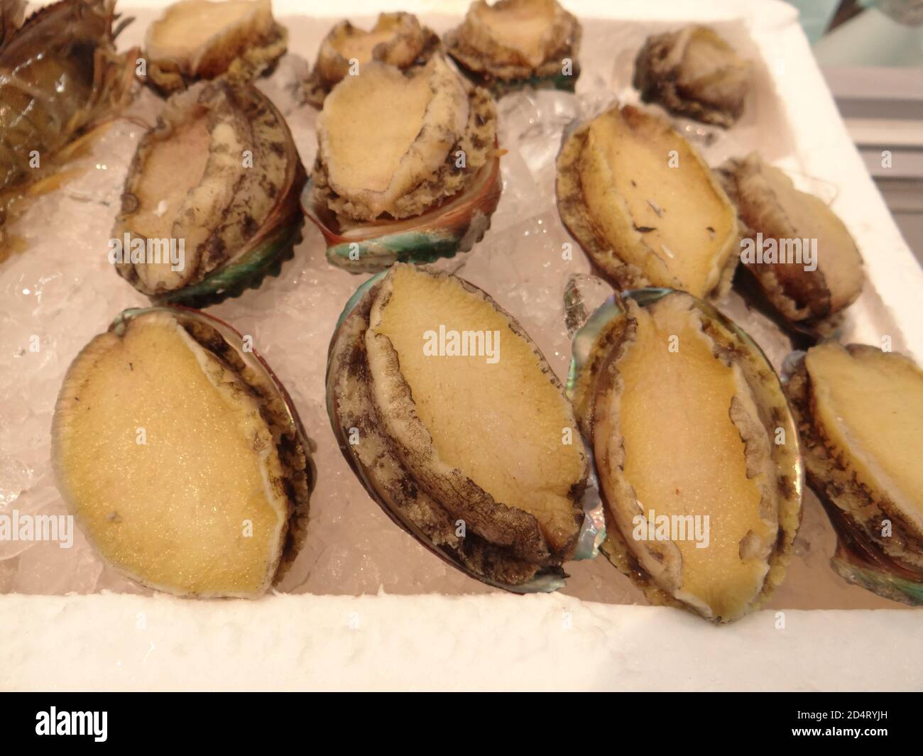 Clam meat clean hi-res stock photography and images - Alamy