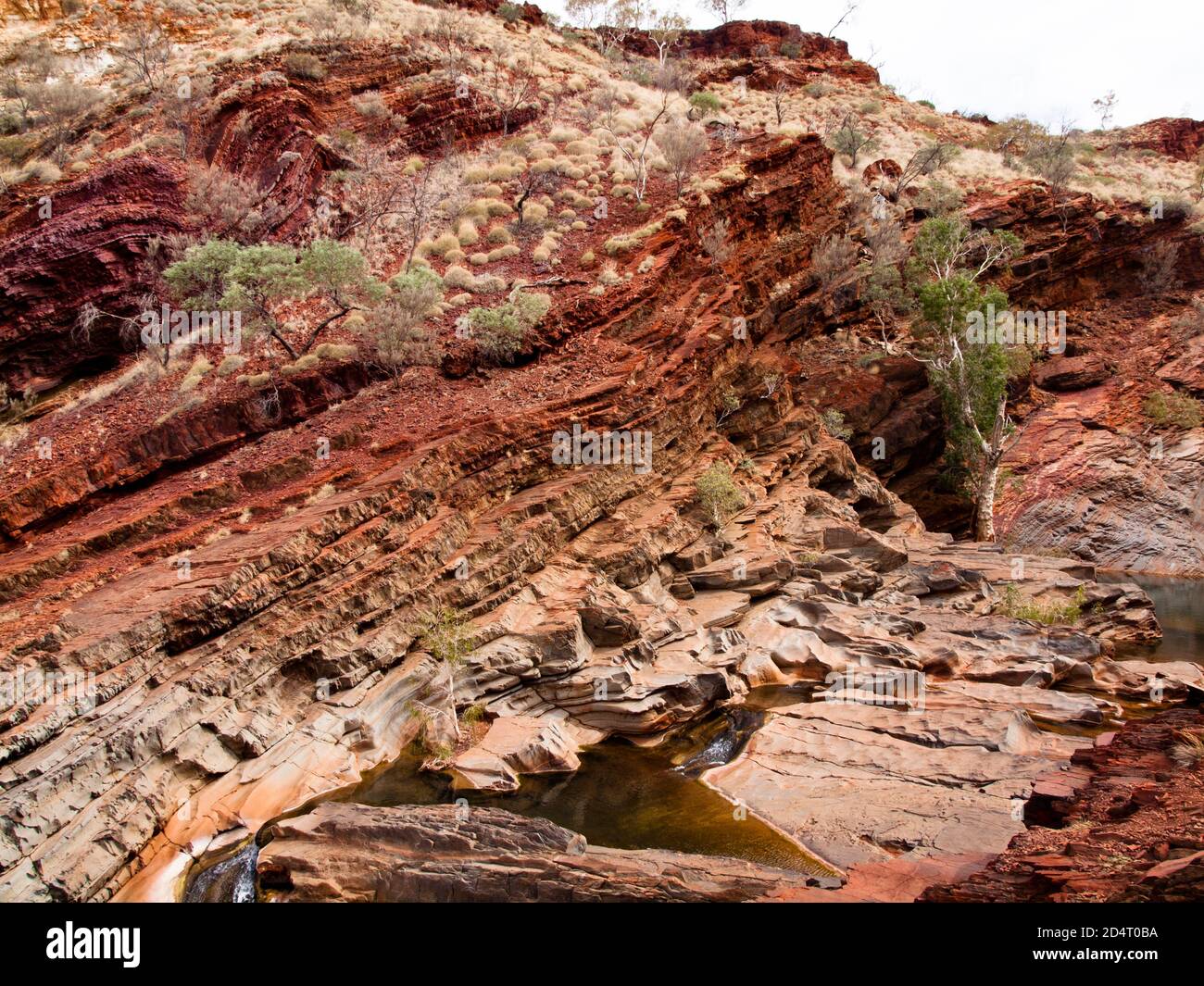Sedimentary rock layers australia hi-res stock photography and images ...