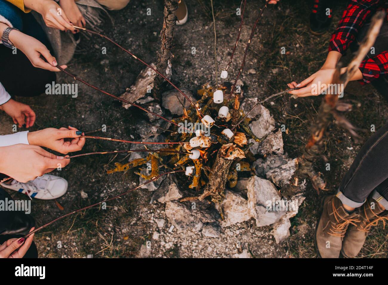 Faceless group of friends fry marshmallows over a campfire in the woods ...