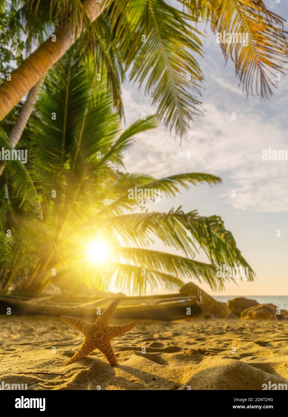 Starfish on the tropical beach at sunset Stock Photo - Alamy