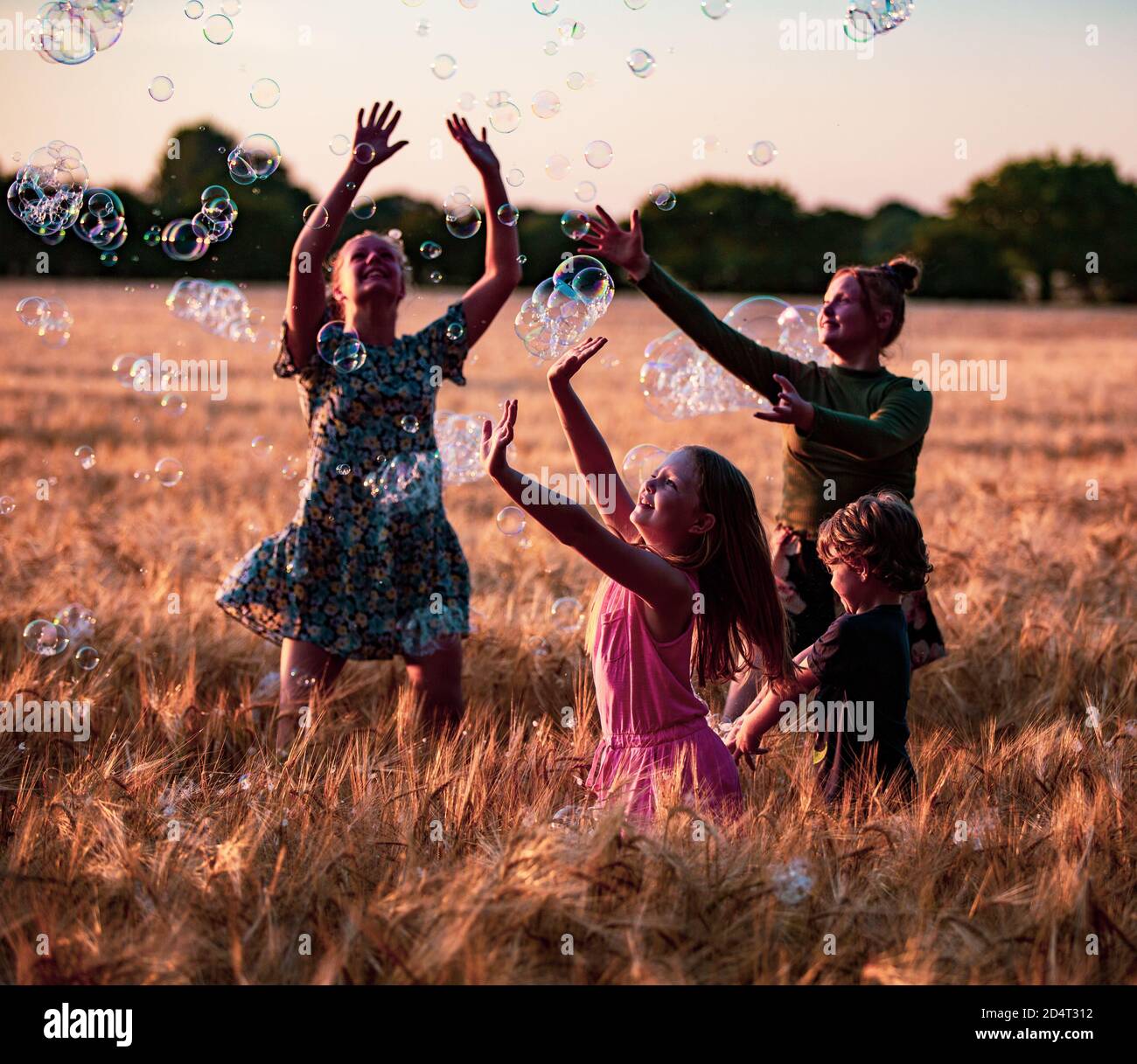 Summer evening fun Stock Photo - Alamy