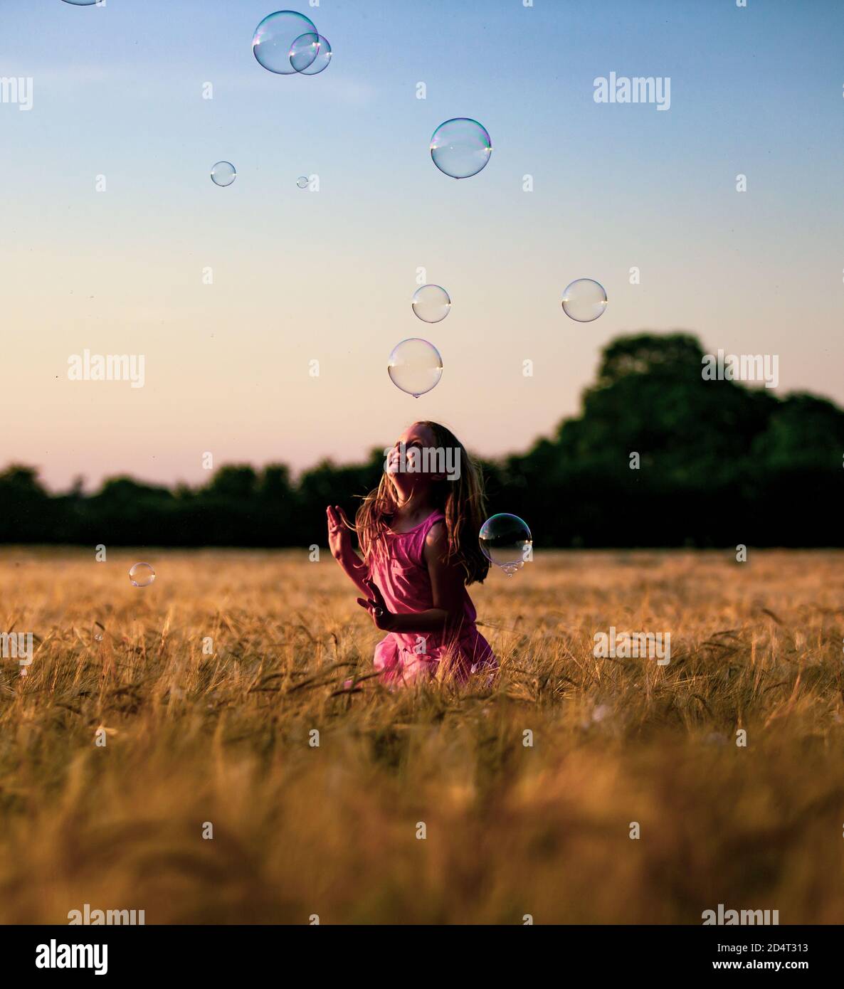 Summer evening fun Stock Photo - Alamy