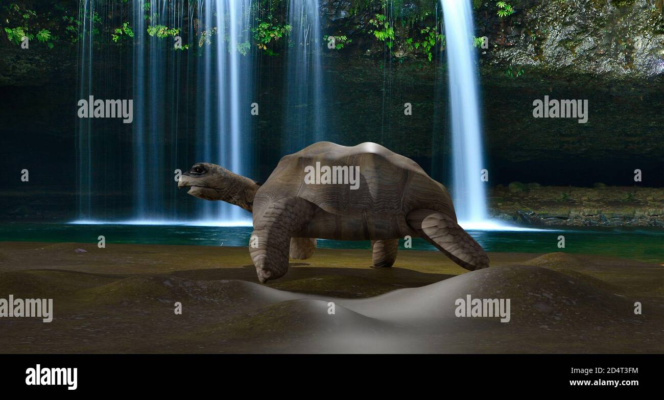 Turtle waterfall hi-res stock photography and images - Alamy