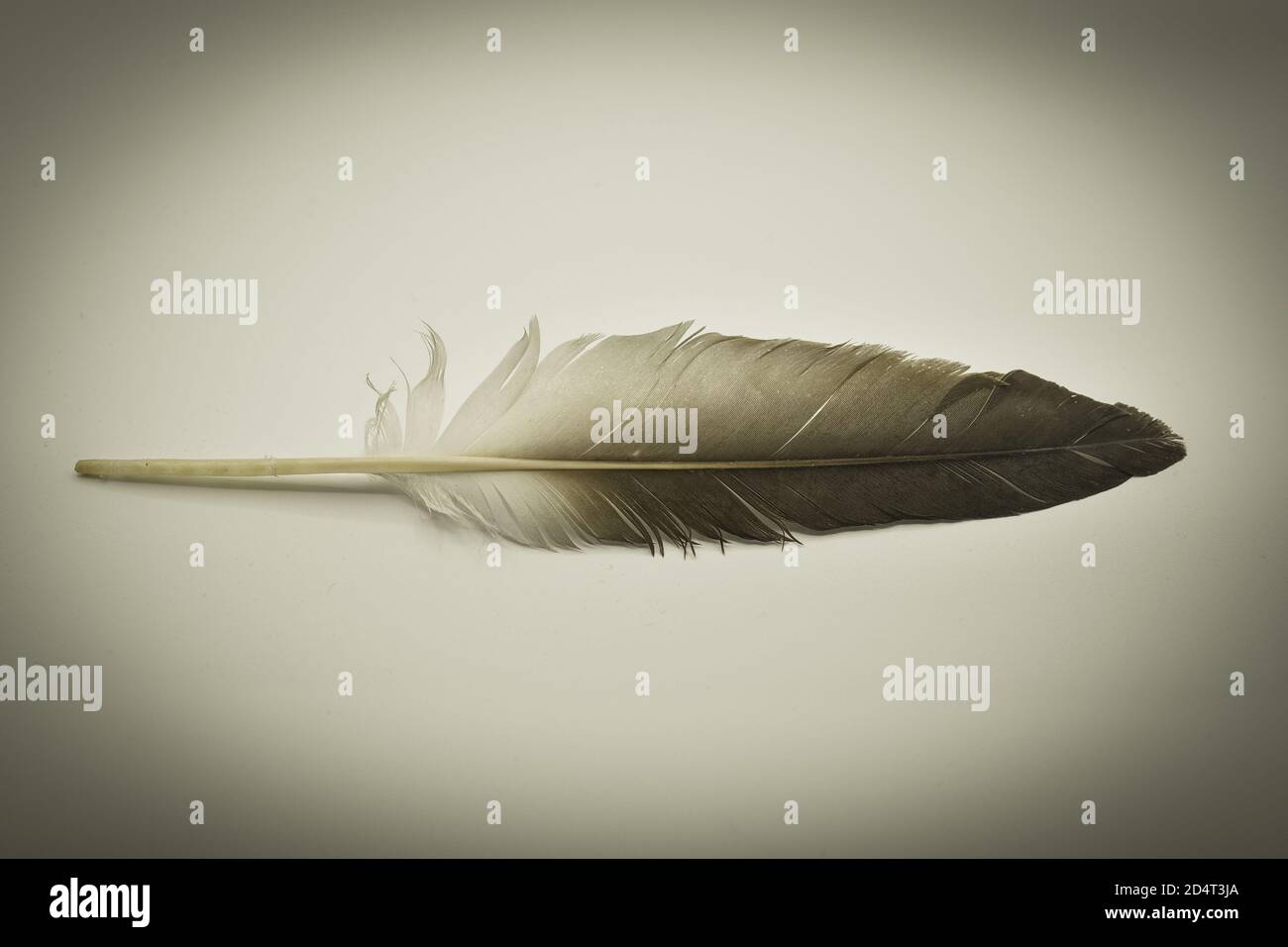 Old paper feather inks hi-res stock photography and images - Alamy