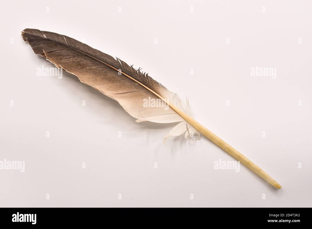 Old paper feather inks hi-res stock photography and images - Alamy