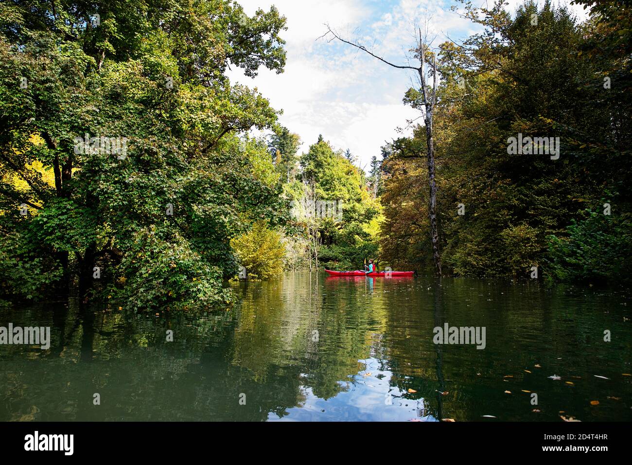 Exploring flooded forest hi-res stock photography and images - Alamy
