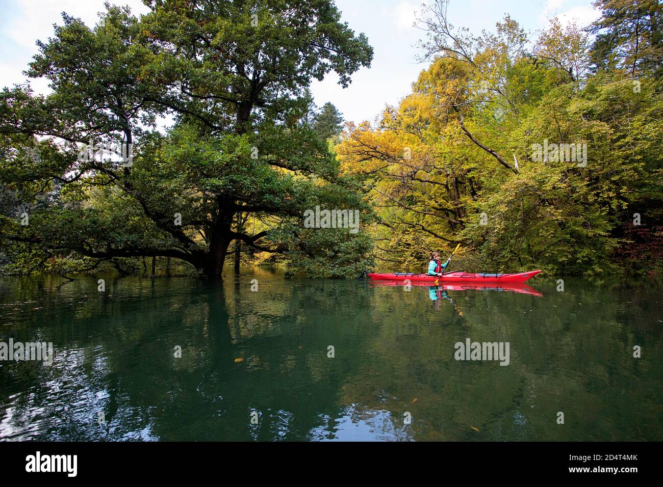Exploring Flooded Forest High Resolution Stock Photography and Images ...