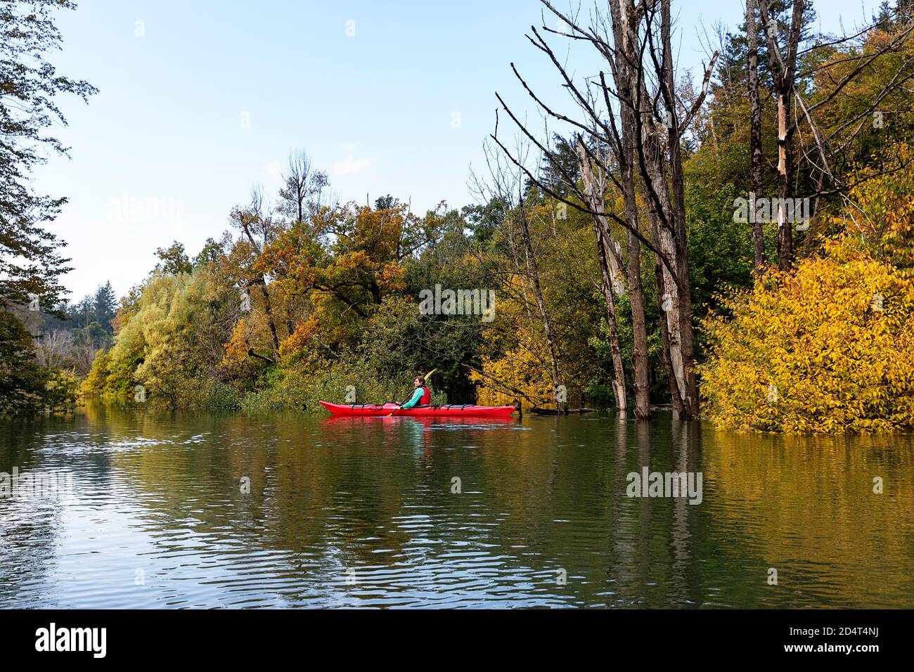 Exploring flooded forest hi-res stock photography and images - Alamy