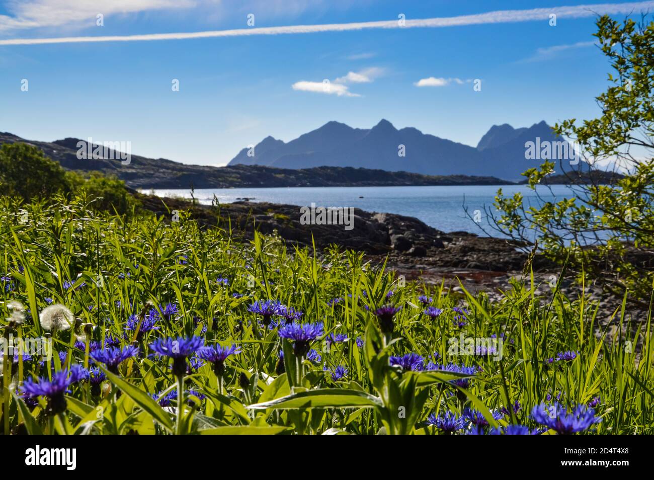 Purple panorama hi-res stock photography and images - Alamy