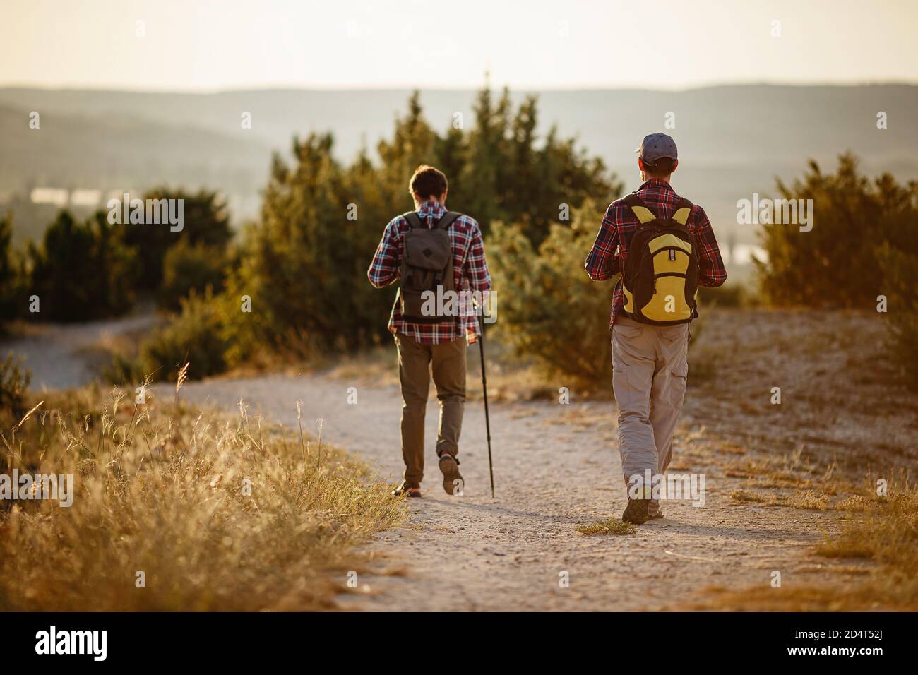 two men hikers enjoy a walk in nature, sunset time in summer. enjoying ...