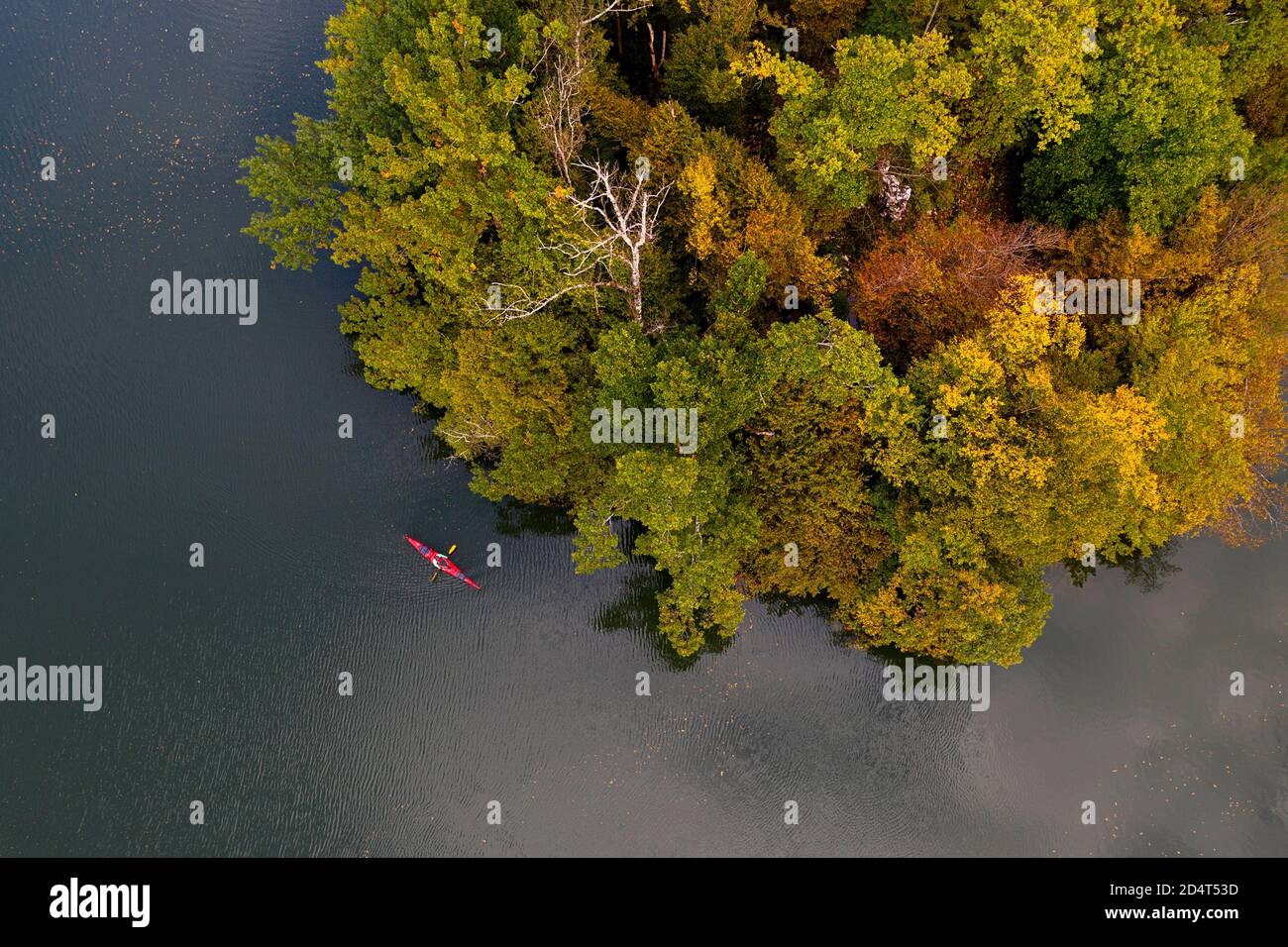 Aerial view of woman kayaking in flooded forest at Rakov skocjan, taken ...