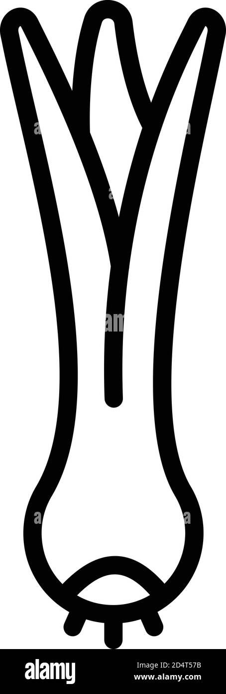 Onion spicy vegetable Black and White Stock Photos & Images - Alamy