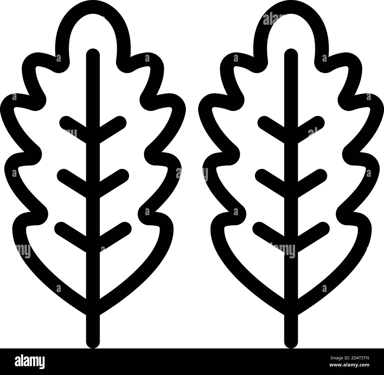 Arugula on white Black and White Stock Photos & Images - Alamy