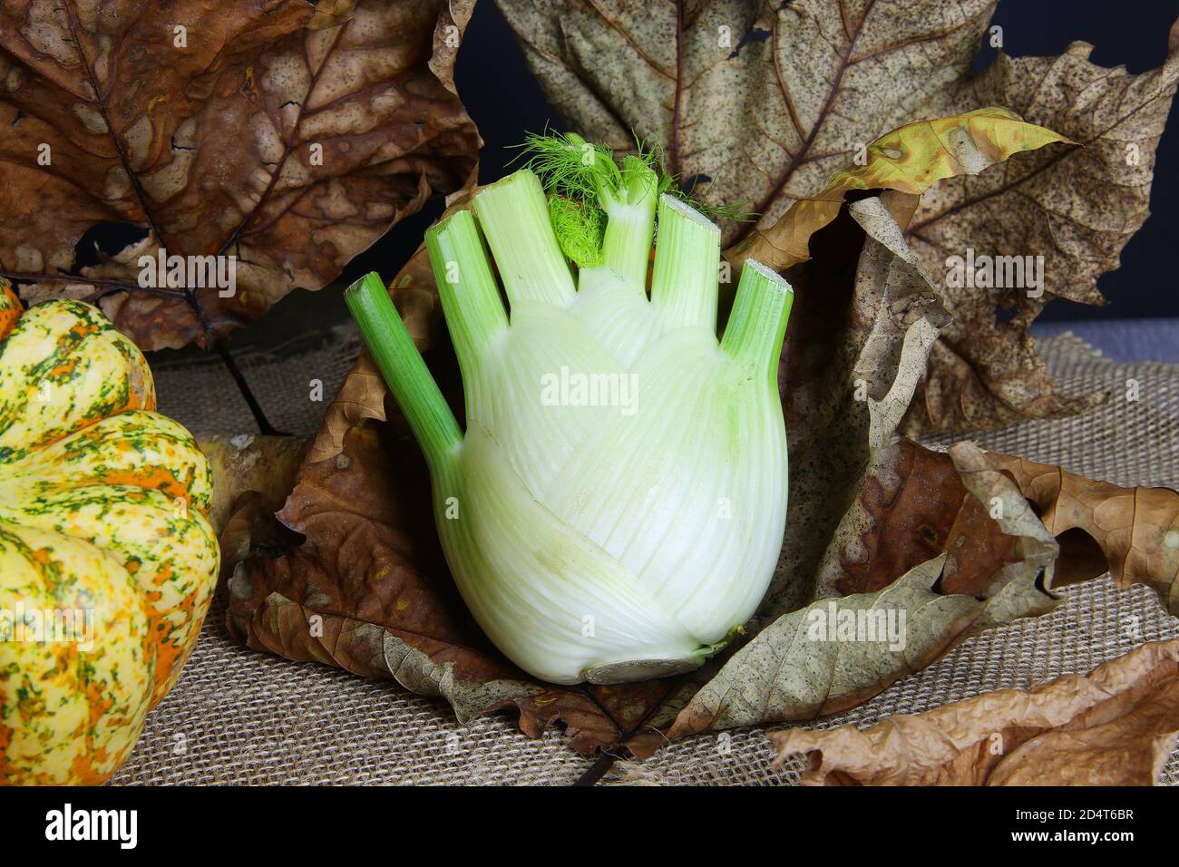 Closeup of autumn root vegetable for healthy nutrition in cold season ...