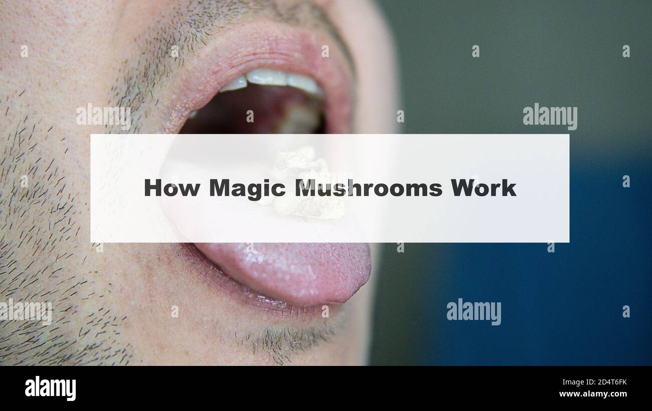how do magic mushrooms work? the mechanism of psilocybin's action on ...