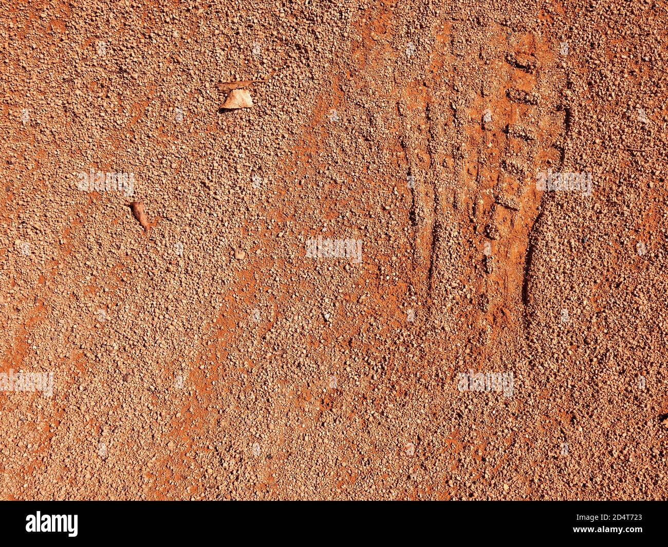 Dry leaf and fooprint mark in tennis red clay court. Sportsman step ...