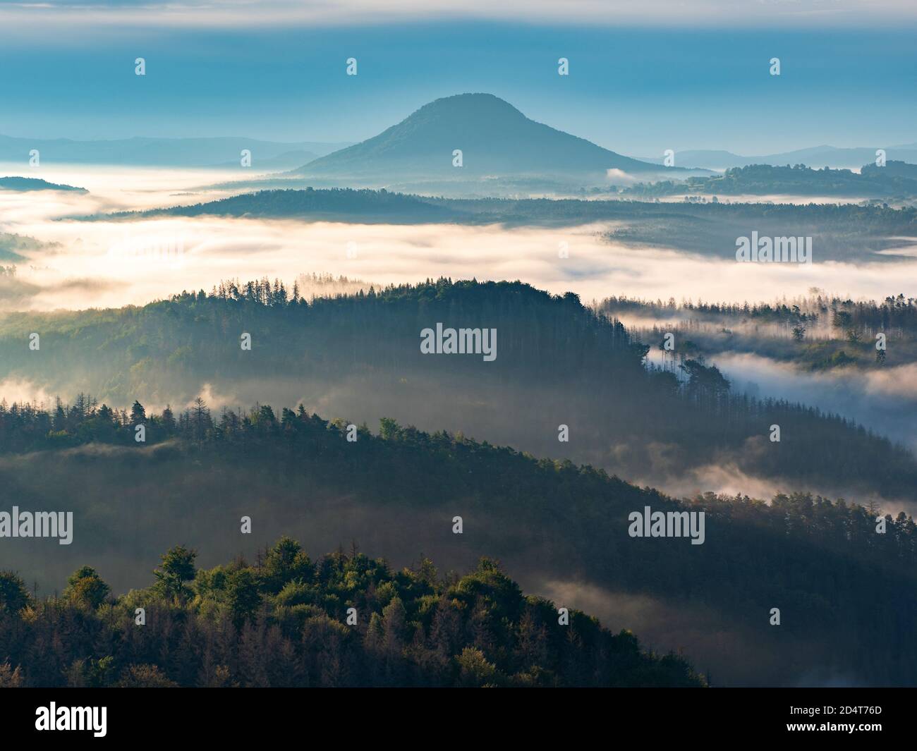 Beautiful sunny morning panorama of forest covered by misty clouds ...