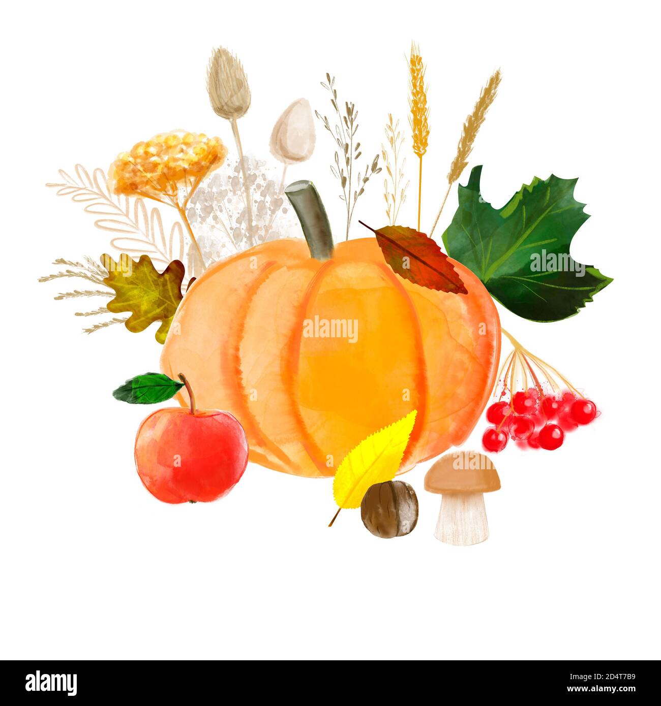 Drawing leaves plant on white hi-res stock photography and images - Alamy