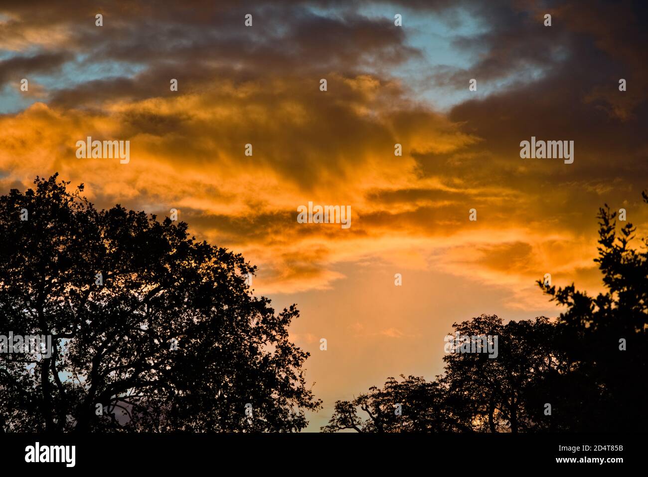 Dramatic sunset view with orange and blue clouds over the dark horizon ...