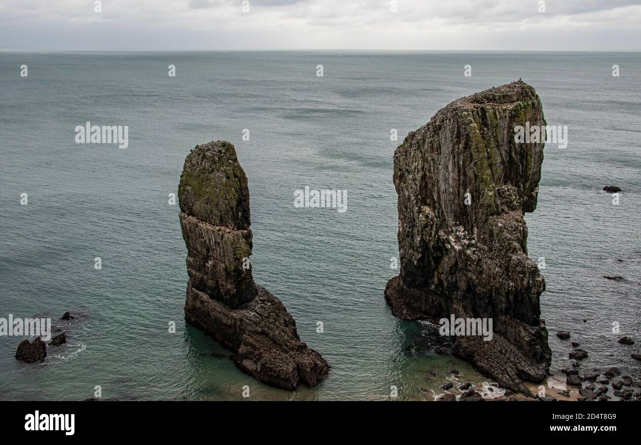 Stack Rocks & The Green Bridge of Wales Stock Photo - Alamy