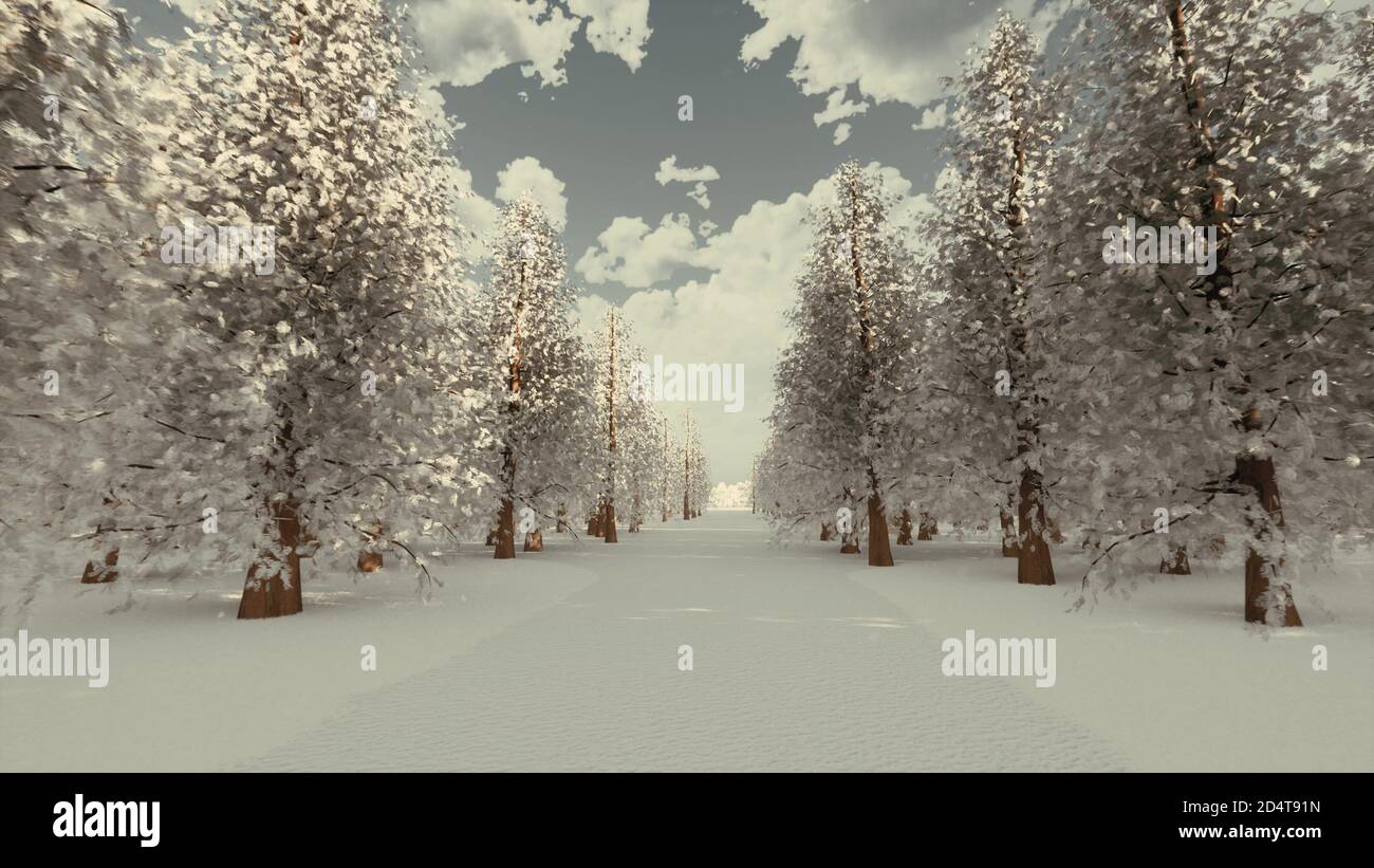 Nature scenery snow road winter forest 3d rendering Stock Photo - Alamy