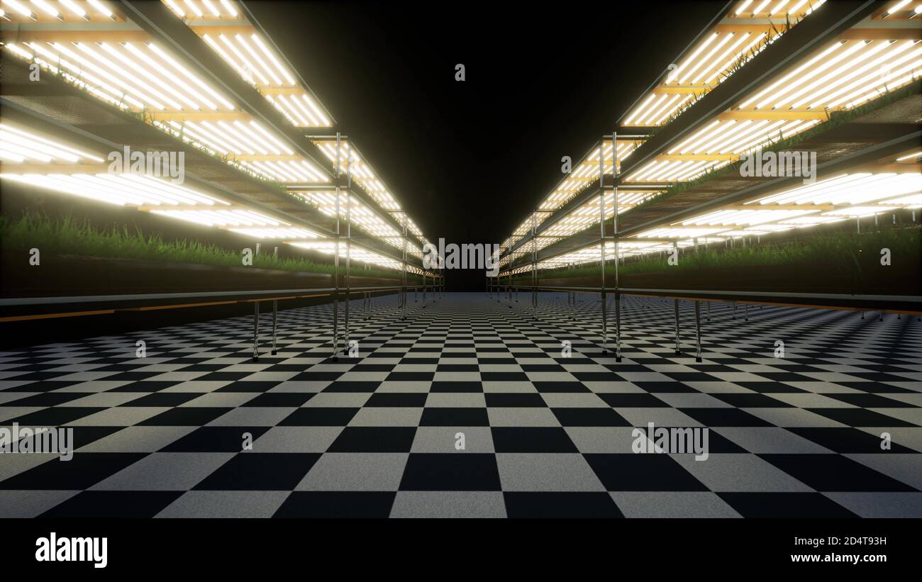 Green automatic plant growth factory iot learning 3d rendering Stock ...