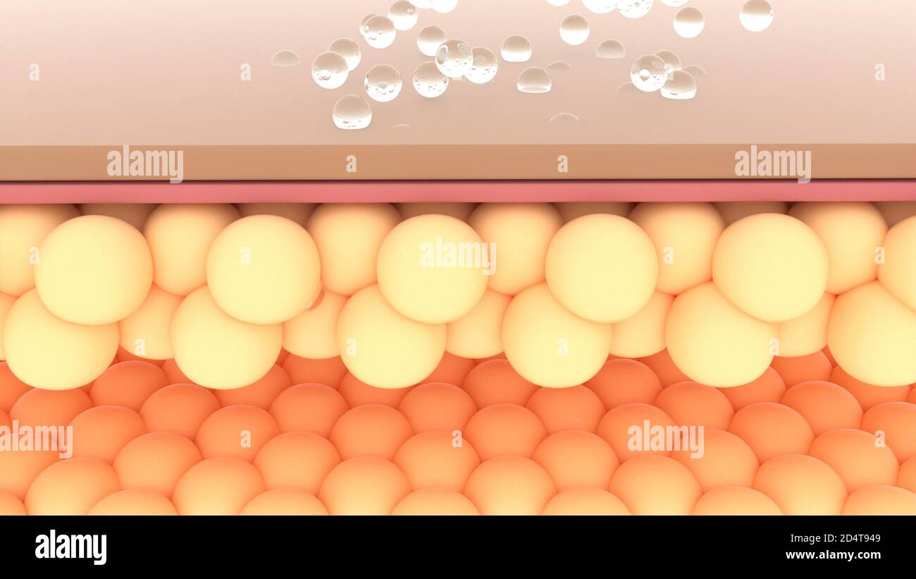 Serum through skin layer in 3d style Skin repair Concept Human health ...