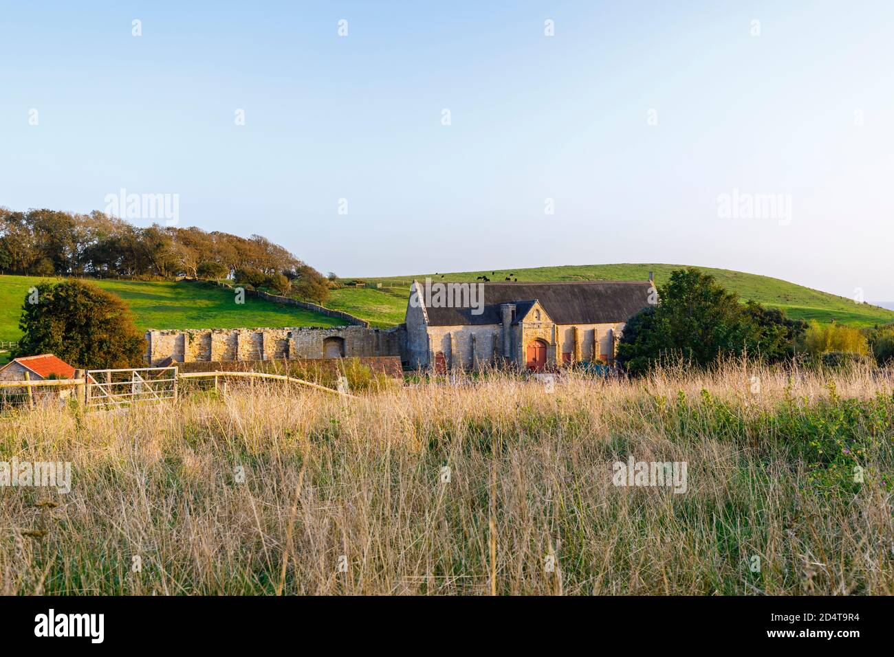 The large tithe barn at the ruins of Abbotsbury Abbey, a former ...