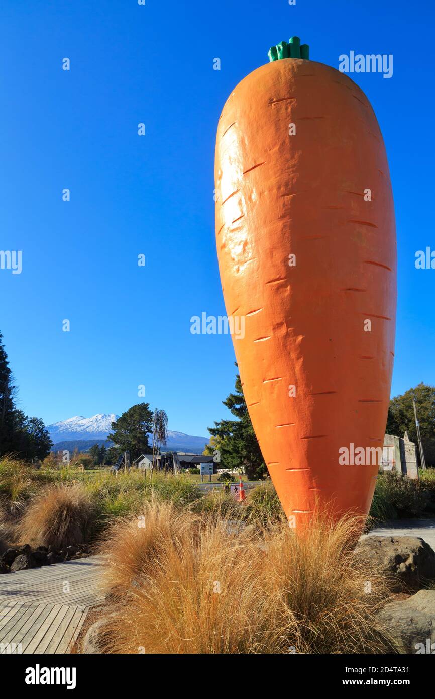 Big carrot hi-res stock photography and images - Alamy