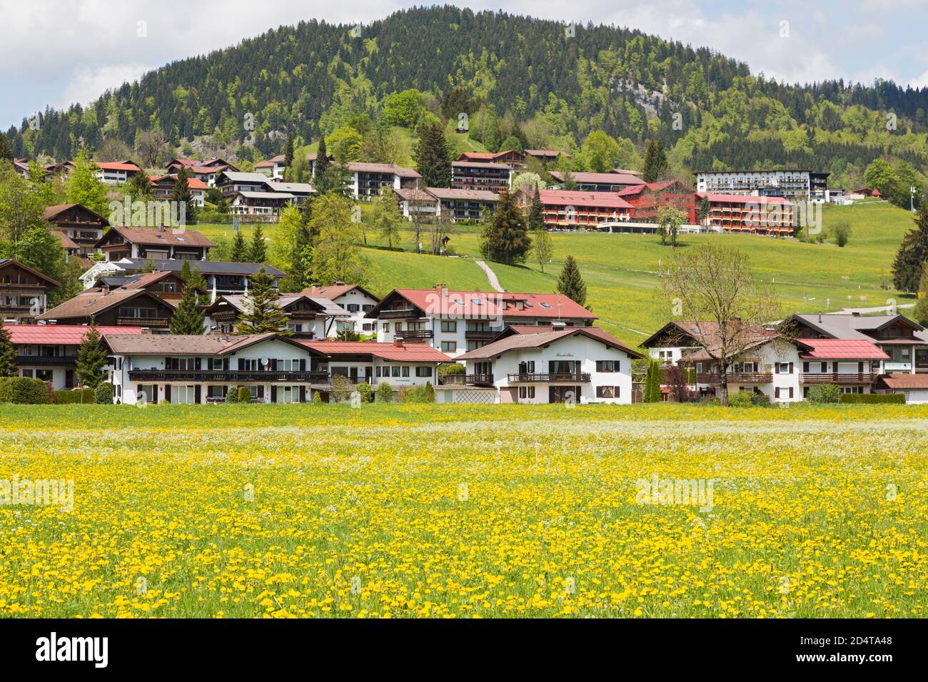 Allgaeu, Oberstdorf, Adula Klinik, Löwenzahnwiese, Wiesen, blühen, Häuser, Ortschaft Stock Photo ...